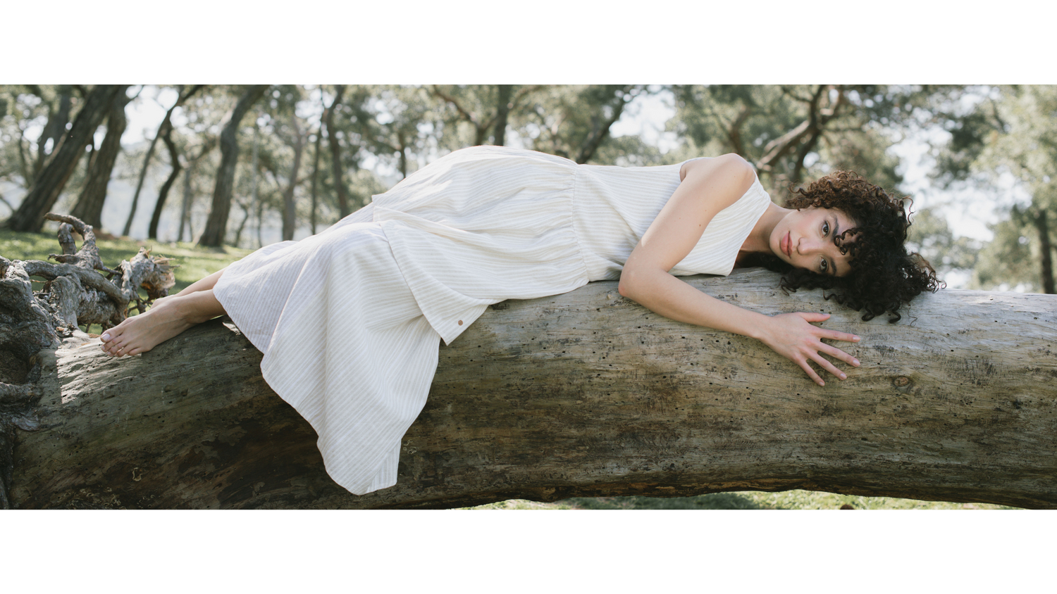 Giyi World International